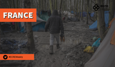 France: New Immigration Law Adopted Despite Constitutional Council ...